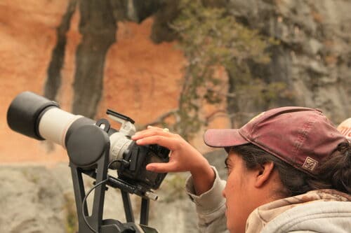 Digital Preservation of Cave Art – How High-Resolution Imaging - IyCK ...